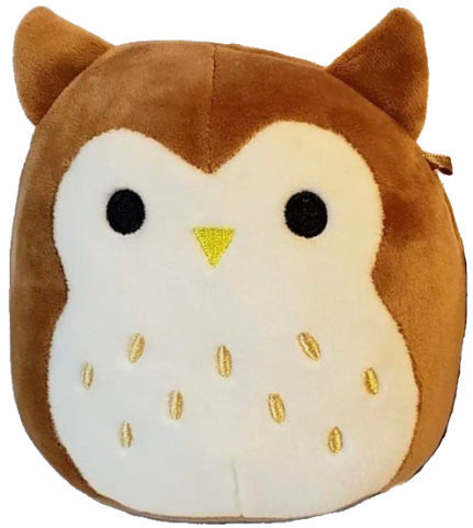 Jake the Owl Squishmallows | SquadApp
