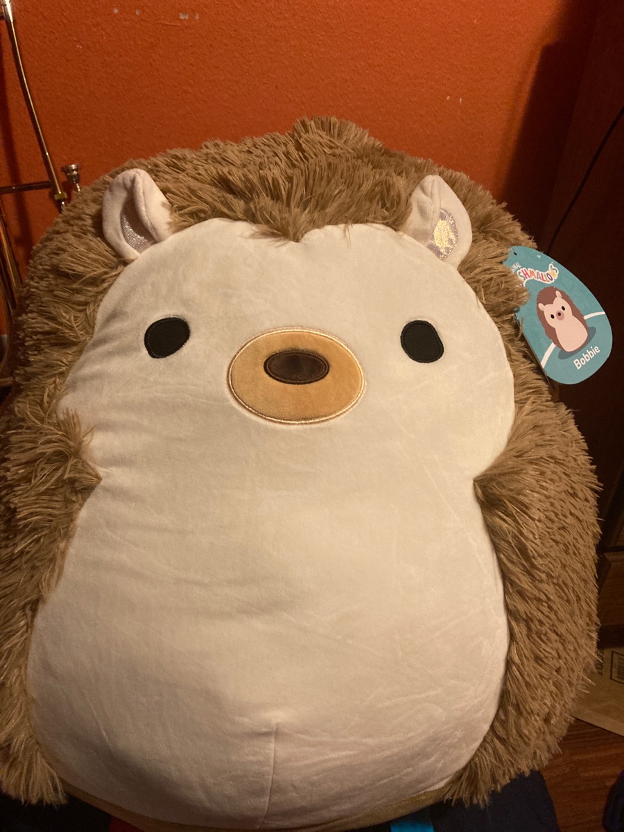 Bobbie (Fuzz-A-Mallows) the Hedgehog Squishmallows | SquadApp