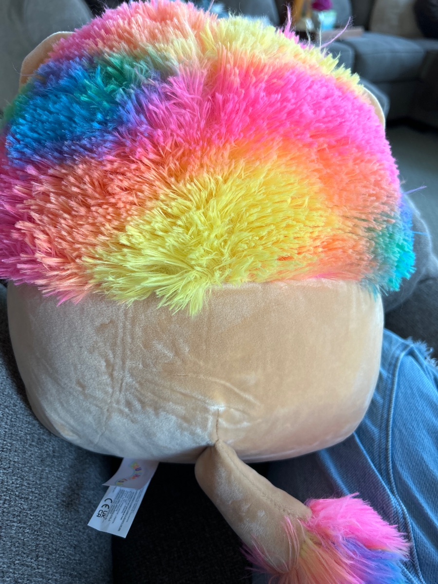 Leonard the Lion Squishmallows Bright,Zoo,Valentine | SquadApp