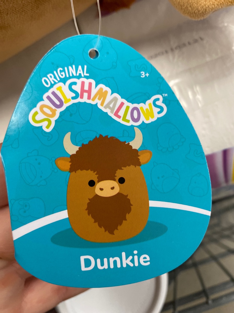 Dunkie the Bison Squishmallows Wilderness | SquadApp