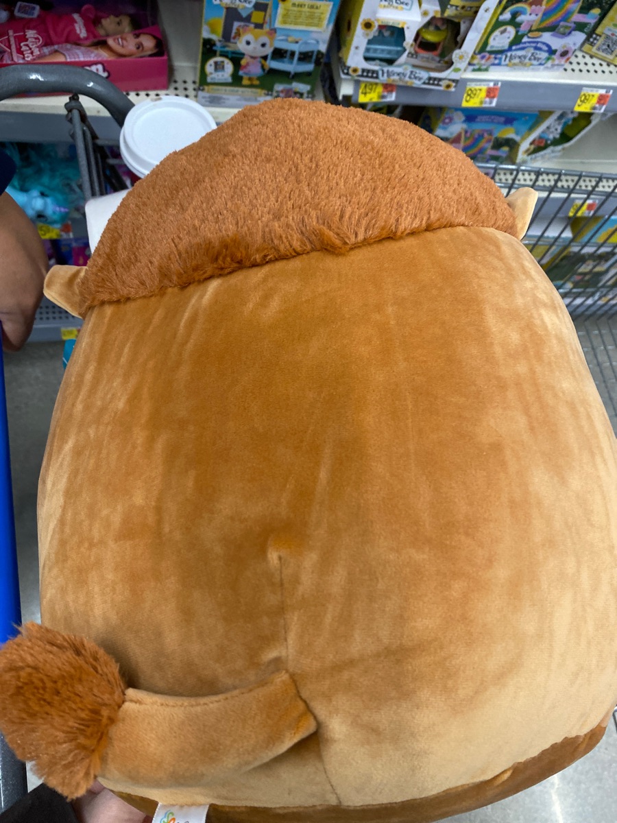 Dunkie the Bison Squishmallows Wilderness | SquadApp