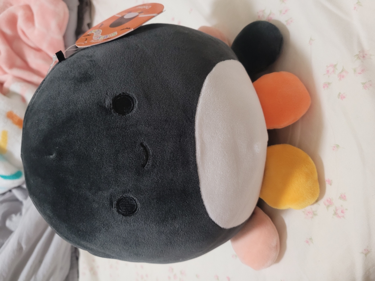 Dolma the Octopus Squishmallows Halloween 2022 | SquadApp