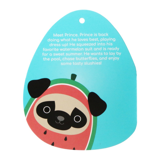 Prince (Watermelon) the Pug (Dog) Squishmallows Costume, Fruit | SquadApp