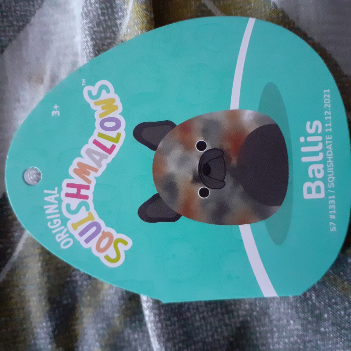 Ballis the Bulldog (Dog) Squishmallows Pets | SquadApp