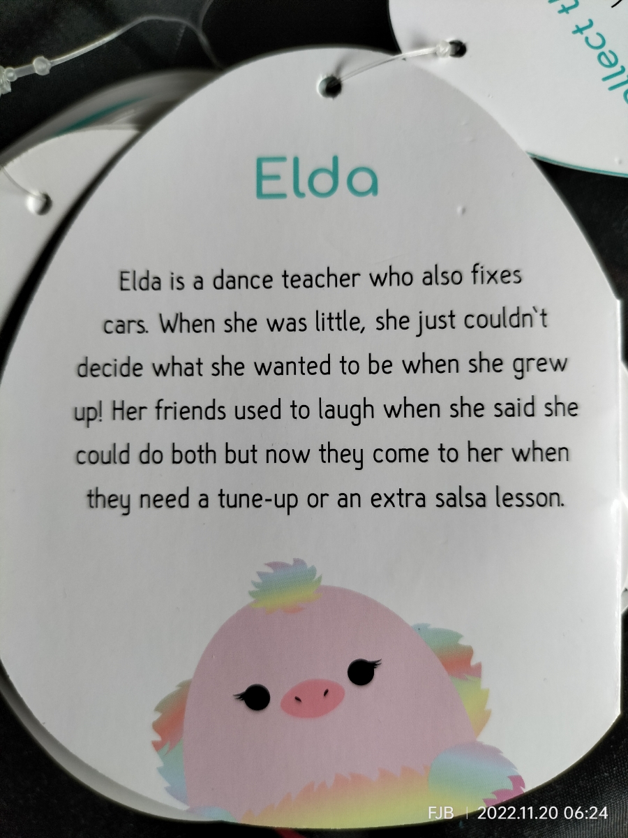 Elda the Ostrich Squishmallows Summer | SquadApp