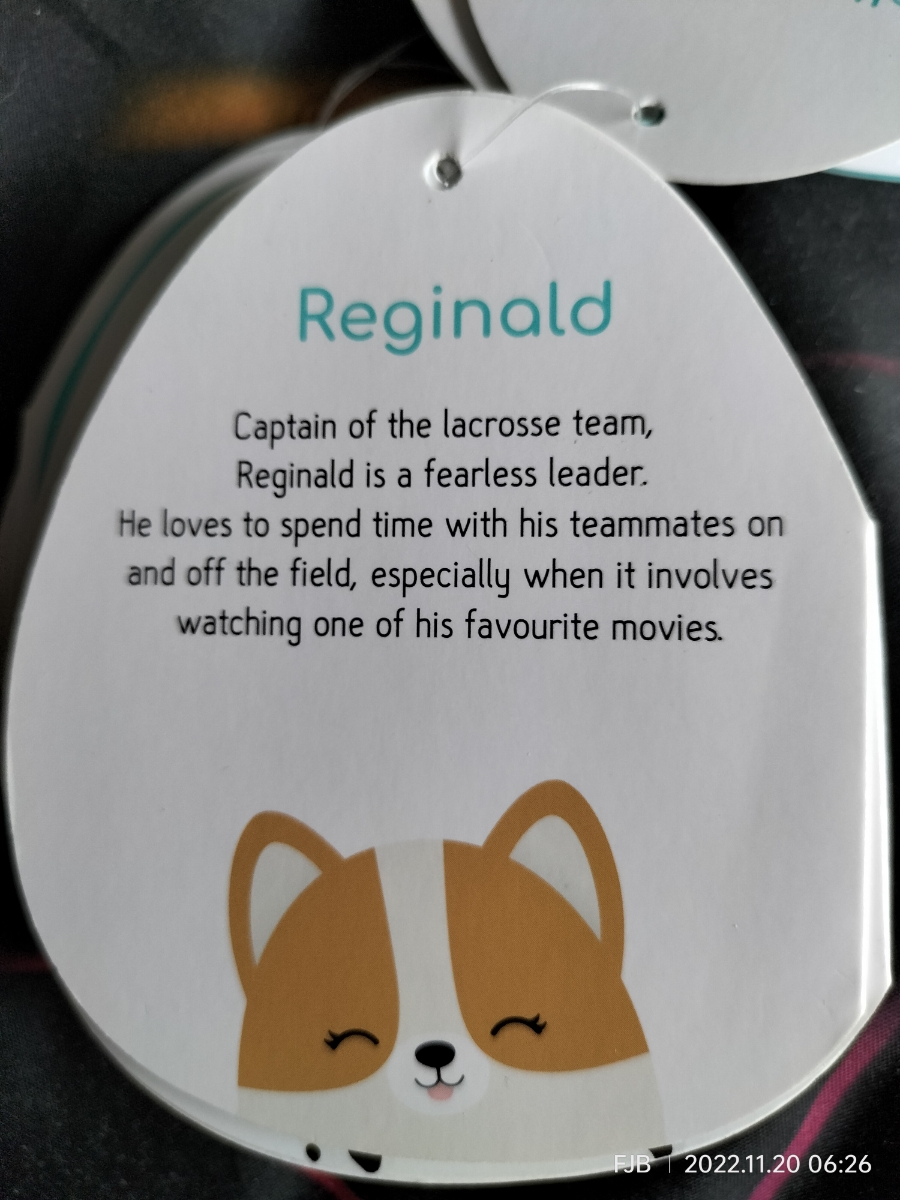 Reginald the Corgi (Dog) Squishmallows Dogs | SquadApp