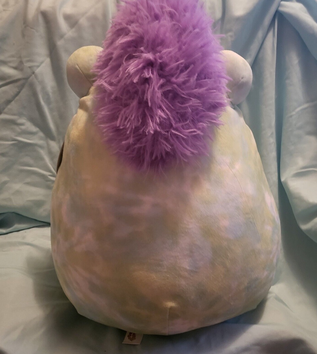 Jezray (Squish-Doo) the Frog Squishmallows Squish-Doo | SquadApp