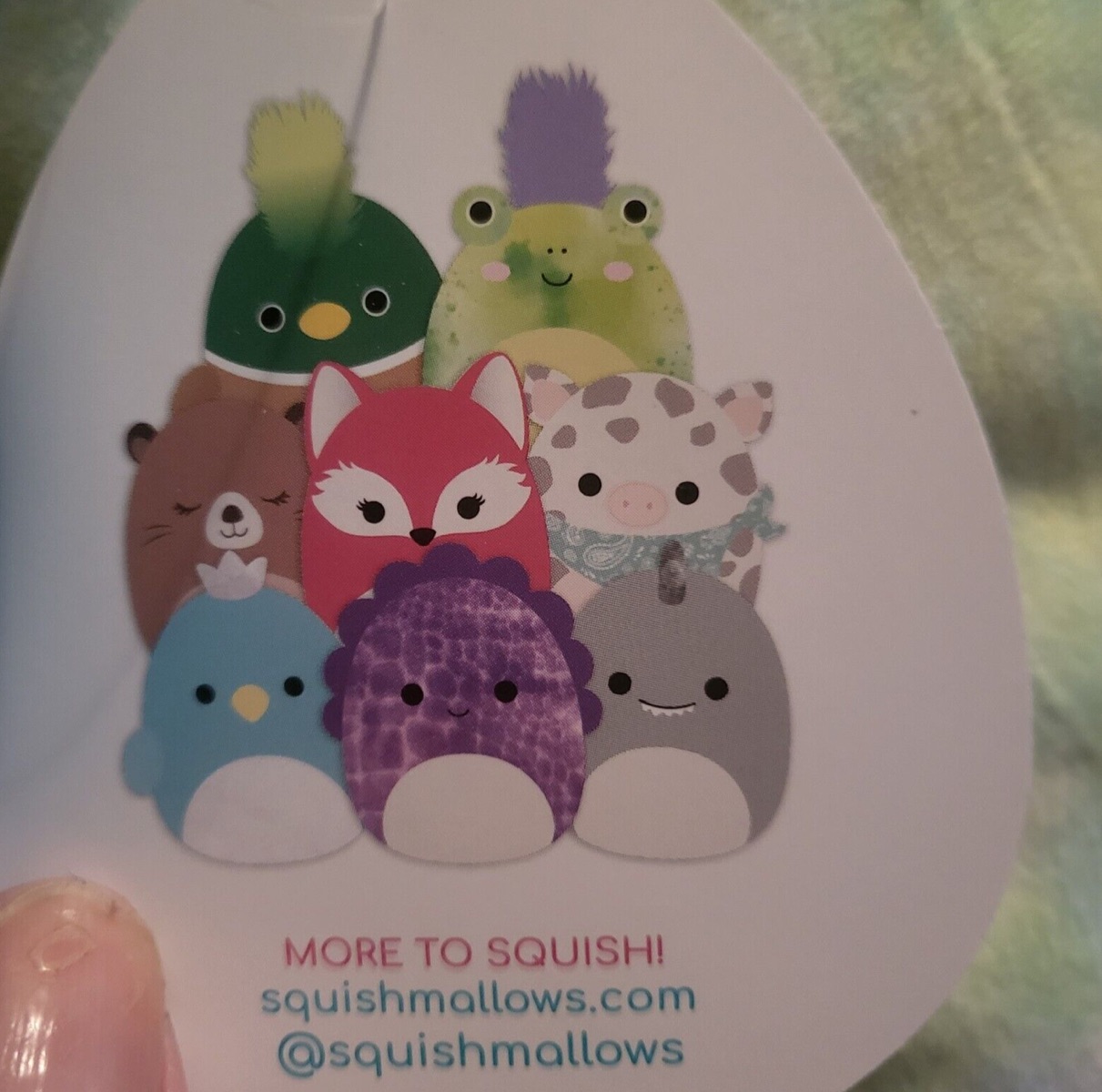 Jezray (Squish-Doo) the Frog Squishmallows Squish-Doo | SquadApp