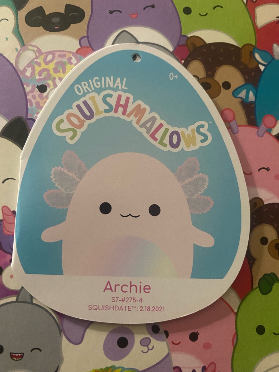Archie the Axolotl Squishmallows Over the Rainbow,Best of Styles, 5B 5. ...