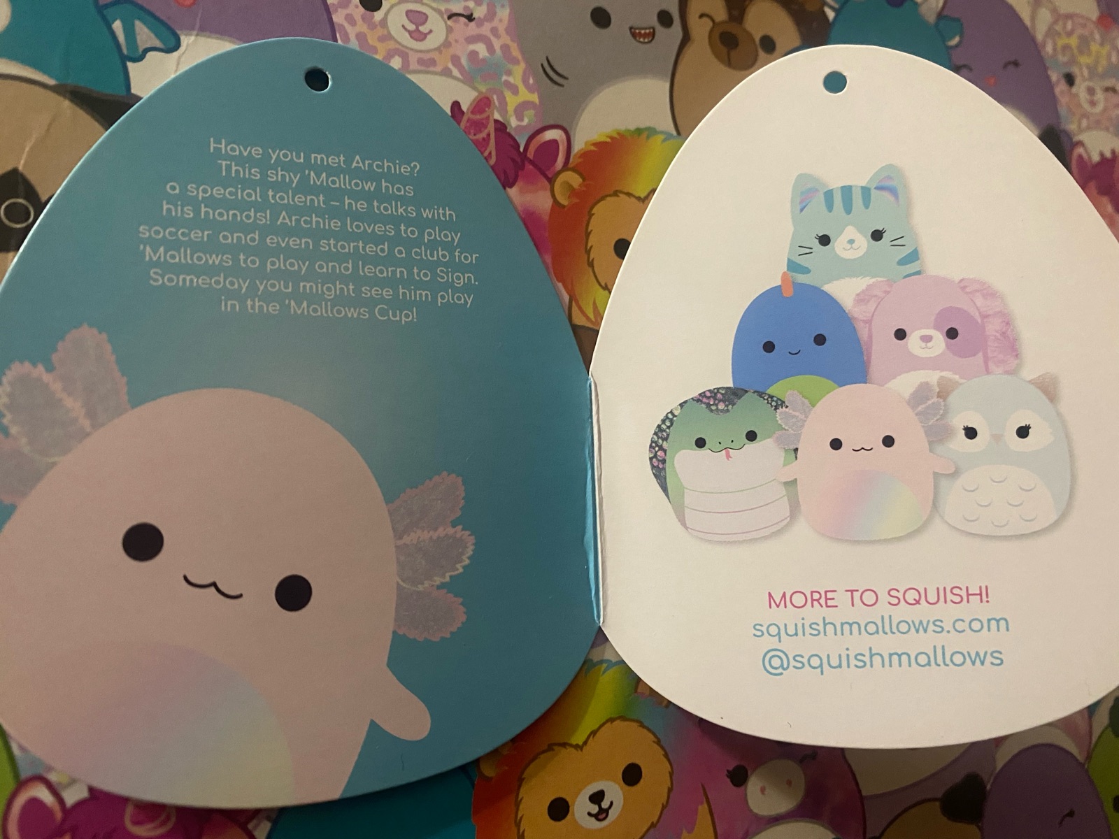 Archie the Axolotl Squishmallows Over the Rainbow,Best of Styles, 5B 5. ...