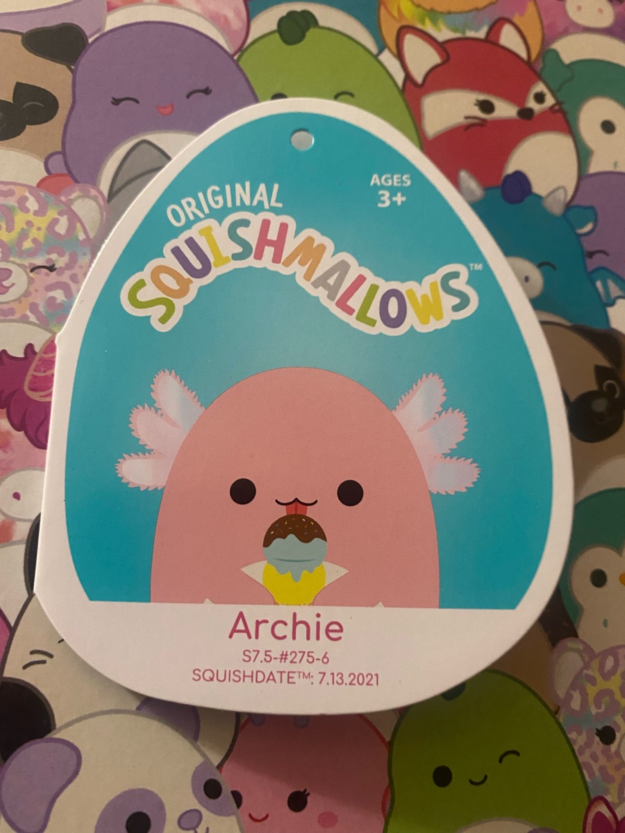 Archie (Ice Cream) the Axolotl Squishmallows Foodie Friends | SquadApp