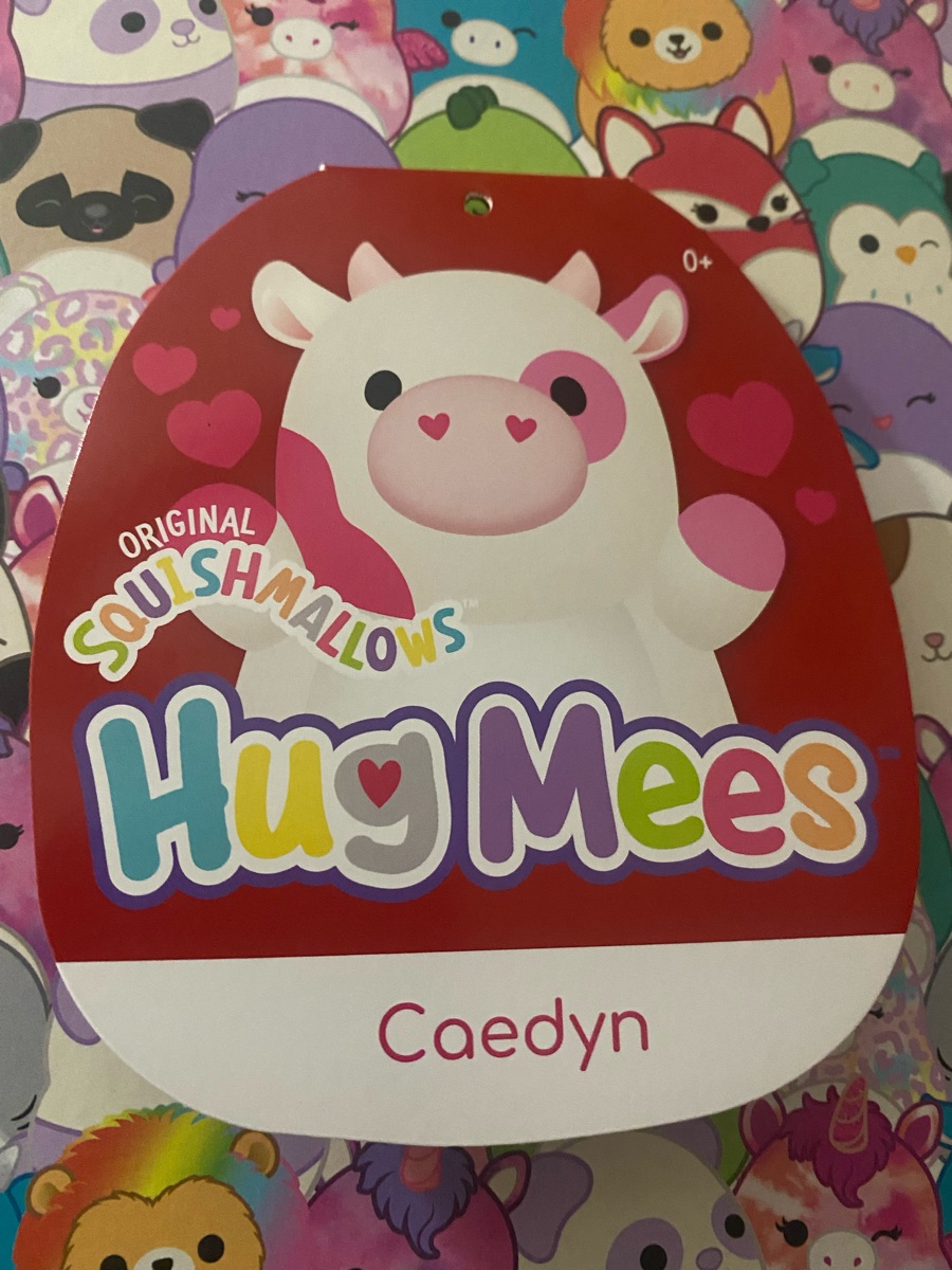 Caedyn (Hug Mees) the Cow Squishmallows | SquadApp