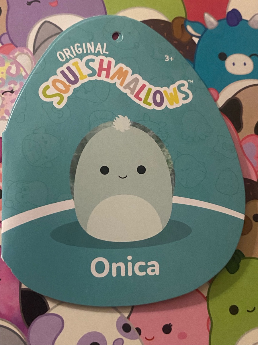 Onica the Turtle Squishmallows Pets | SquadApp
