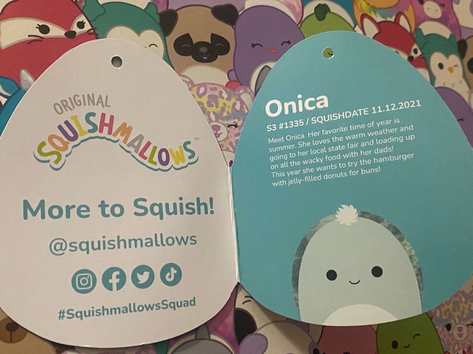 Onica the Turtle Squishmallows Pets | SquadApp