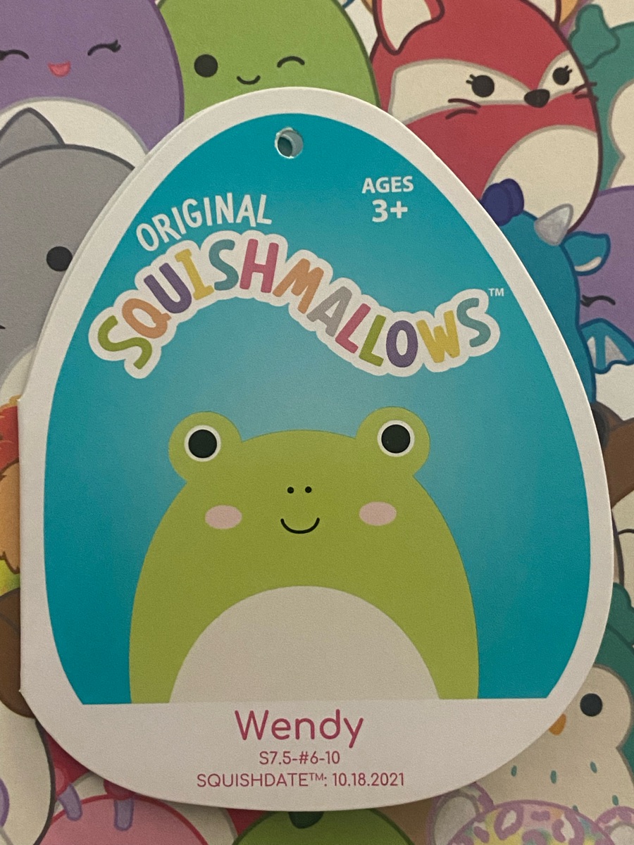 Wendy the Frog Squishmallows Original | SquadApp
