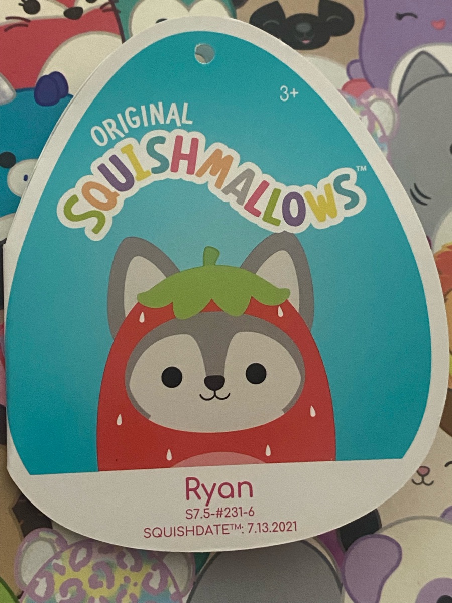 Ryan (Strawberry) the Husky (Dog) Squishmallows Costume, Fruit | SquadApp
