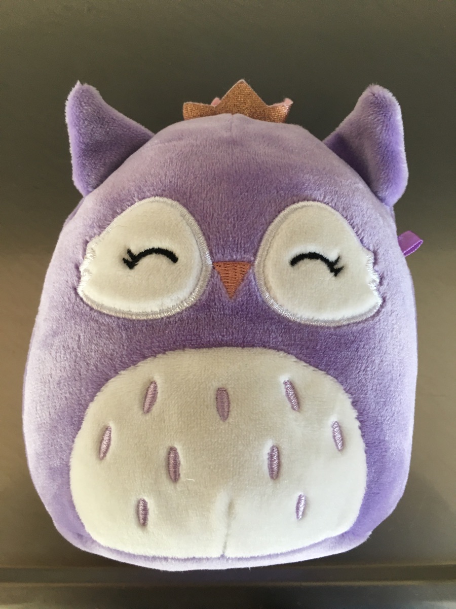 Fania the Owl Squishmallows | SquadApp