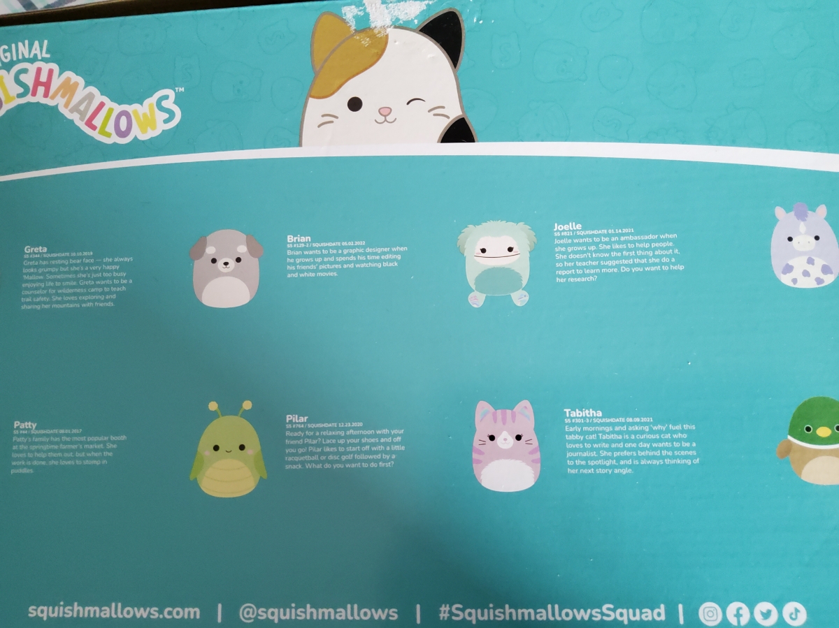 Fantasy & Wildlife Box Set 2 the Box Set Squishmallows Fantasy,Wildlife ...