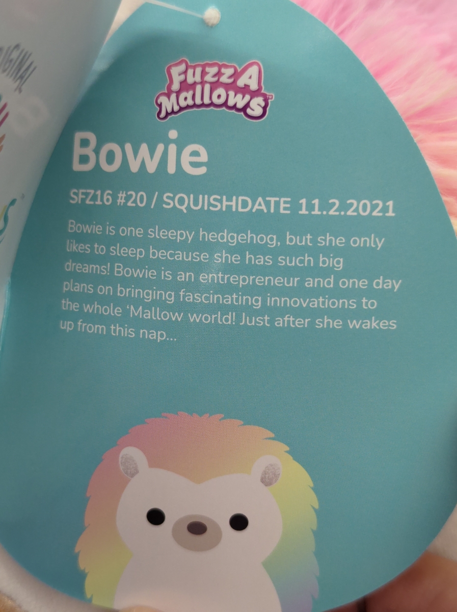 Bowie (Fuzz-A-Mallows) the Hedgehog Squishmallows | SquadApp