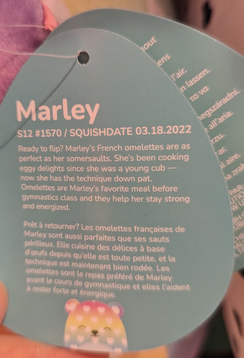 Marley the Bear Squishmallows | SquadApp