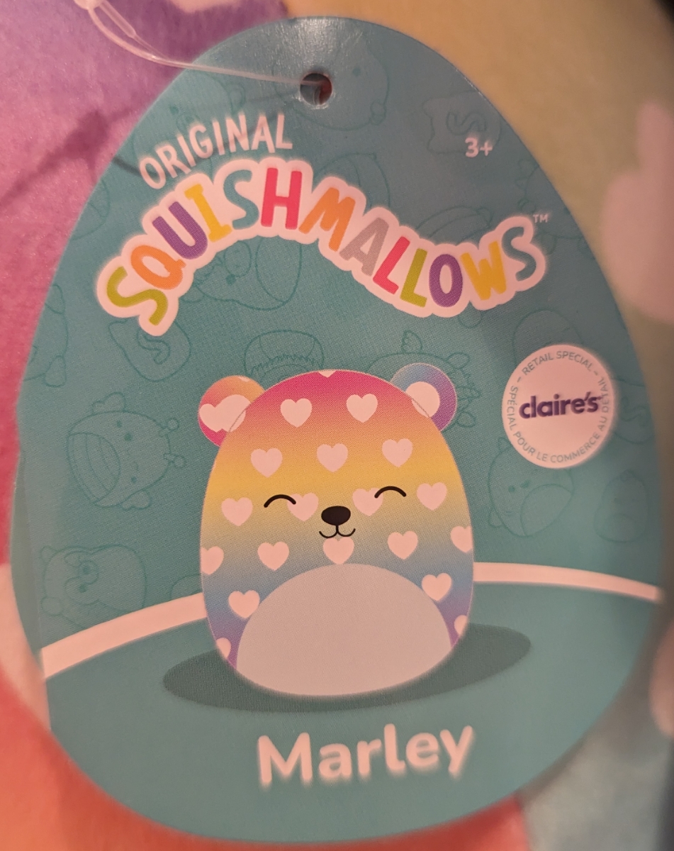 Marley the Bear Squishmallows | SquadApp