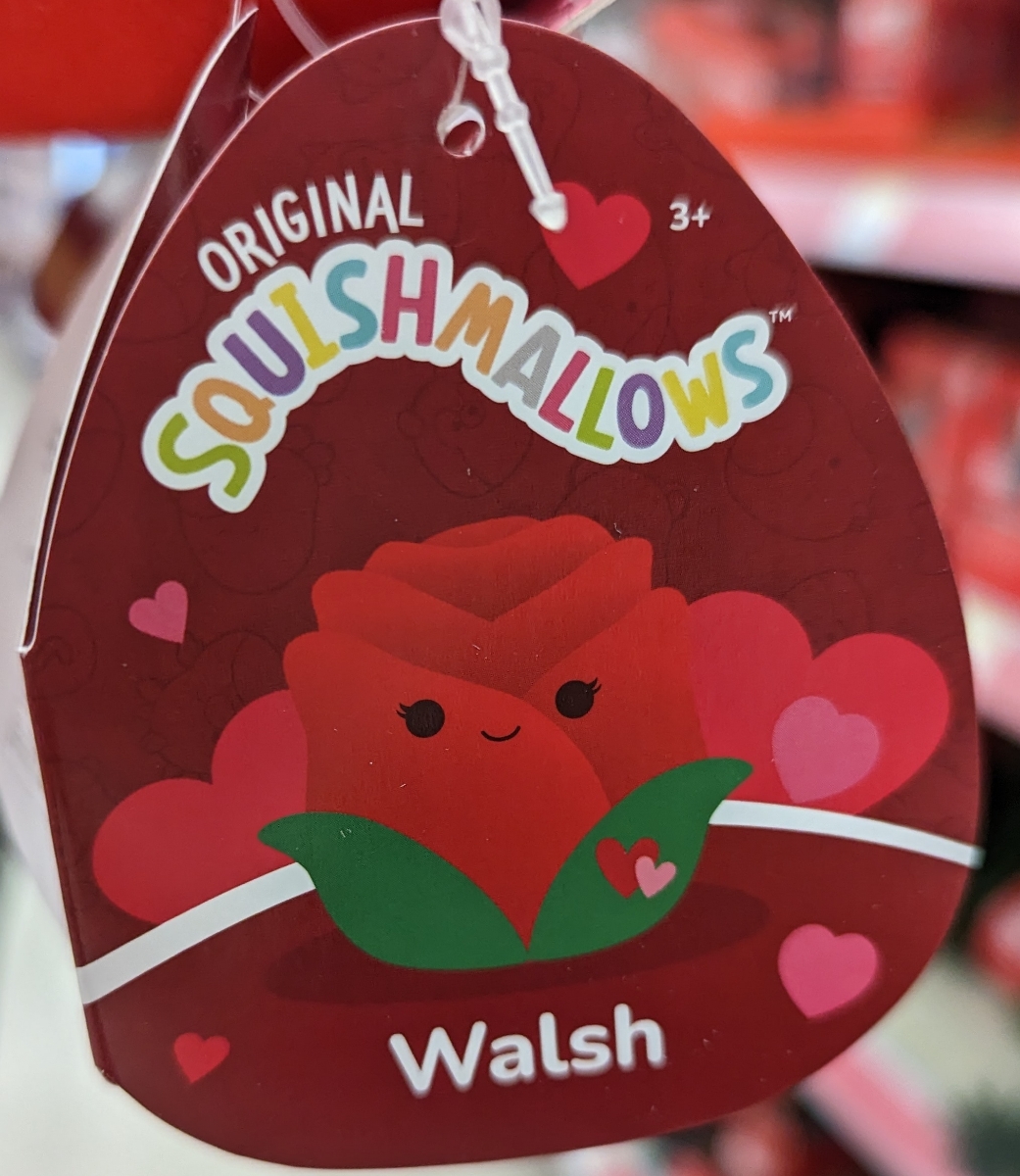 Walsh the Rose Squishmallows Valentines 2023 | SquadApp