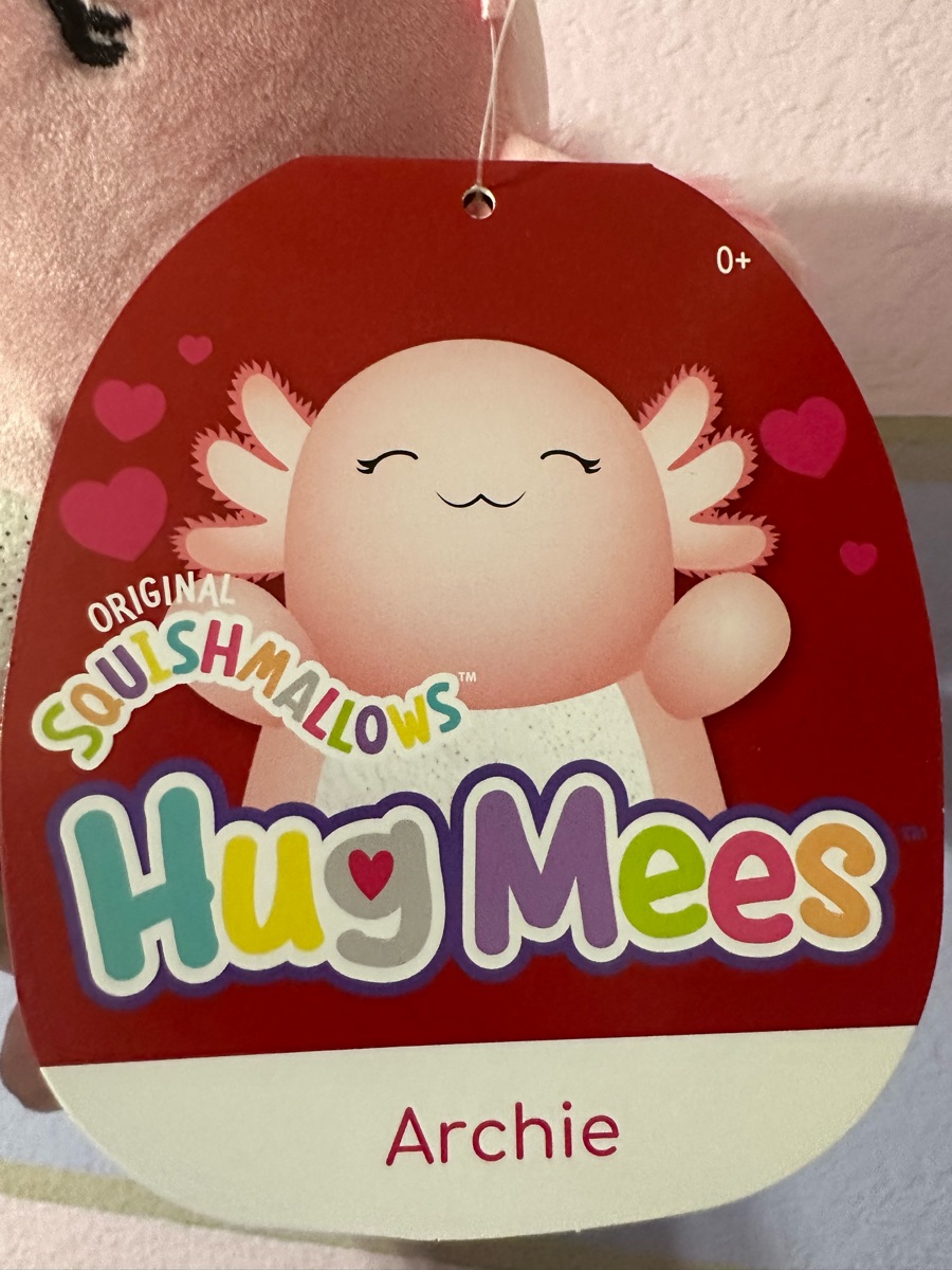 Archie (Hug Mees) the Axolotl Squishmallows Valentine | SquadApp