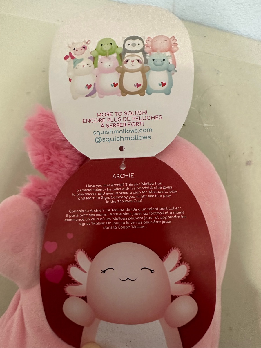 Archie (Hug Mees) the Axolotl Squishmallows Valentine | SquadApp