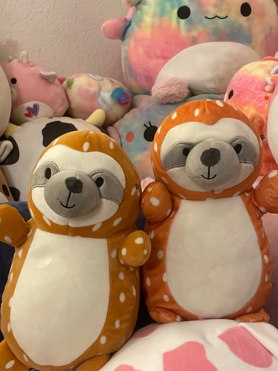 Kandace (Hug Mees) the Sloth Squishmallows | SquadApp