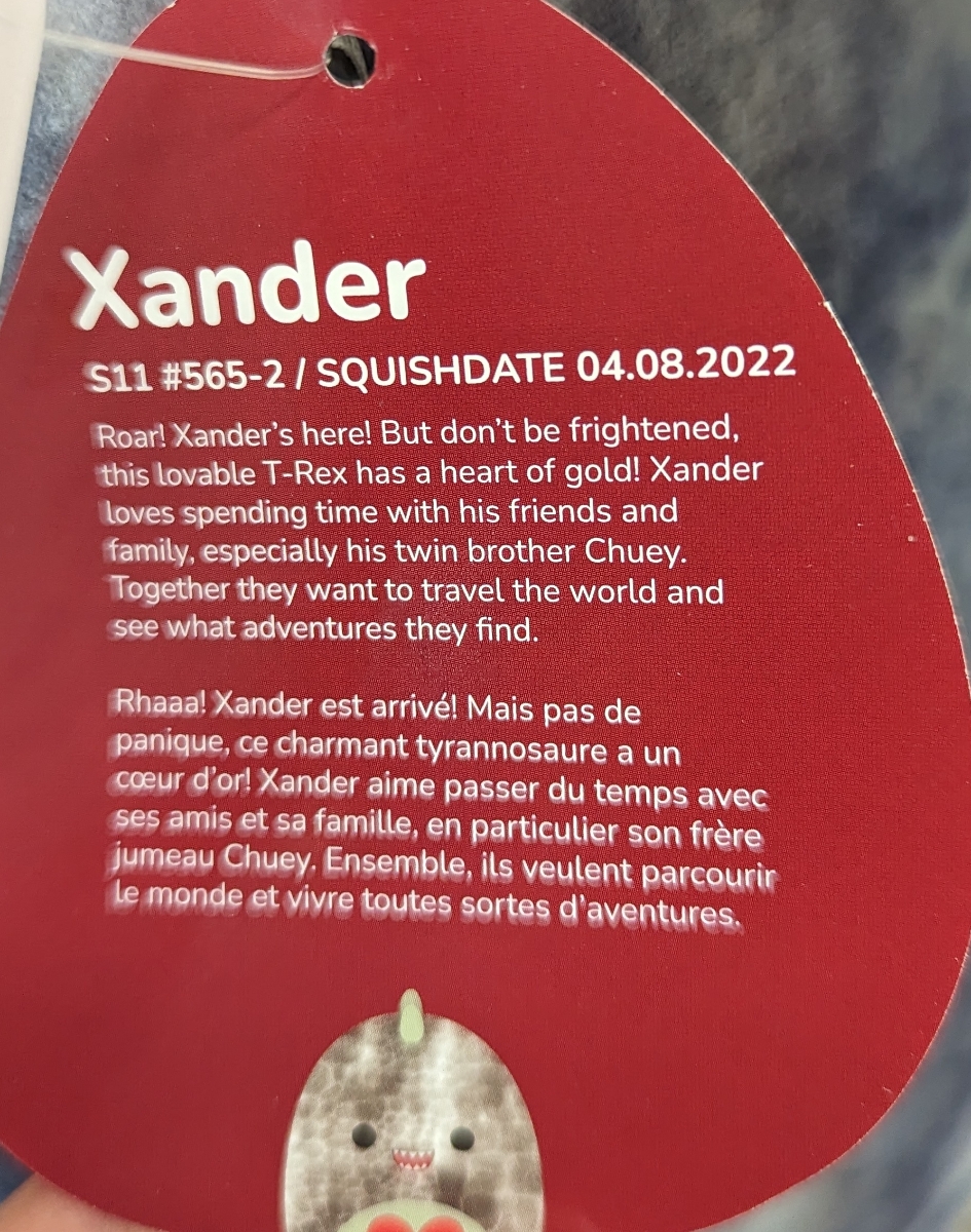 Xander (Belly Heart) the T-Rex Squishmallows Valentines 2023, Love Bunch, Valentines 2024 | SquadApp