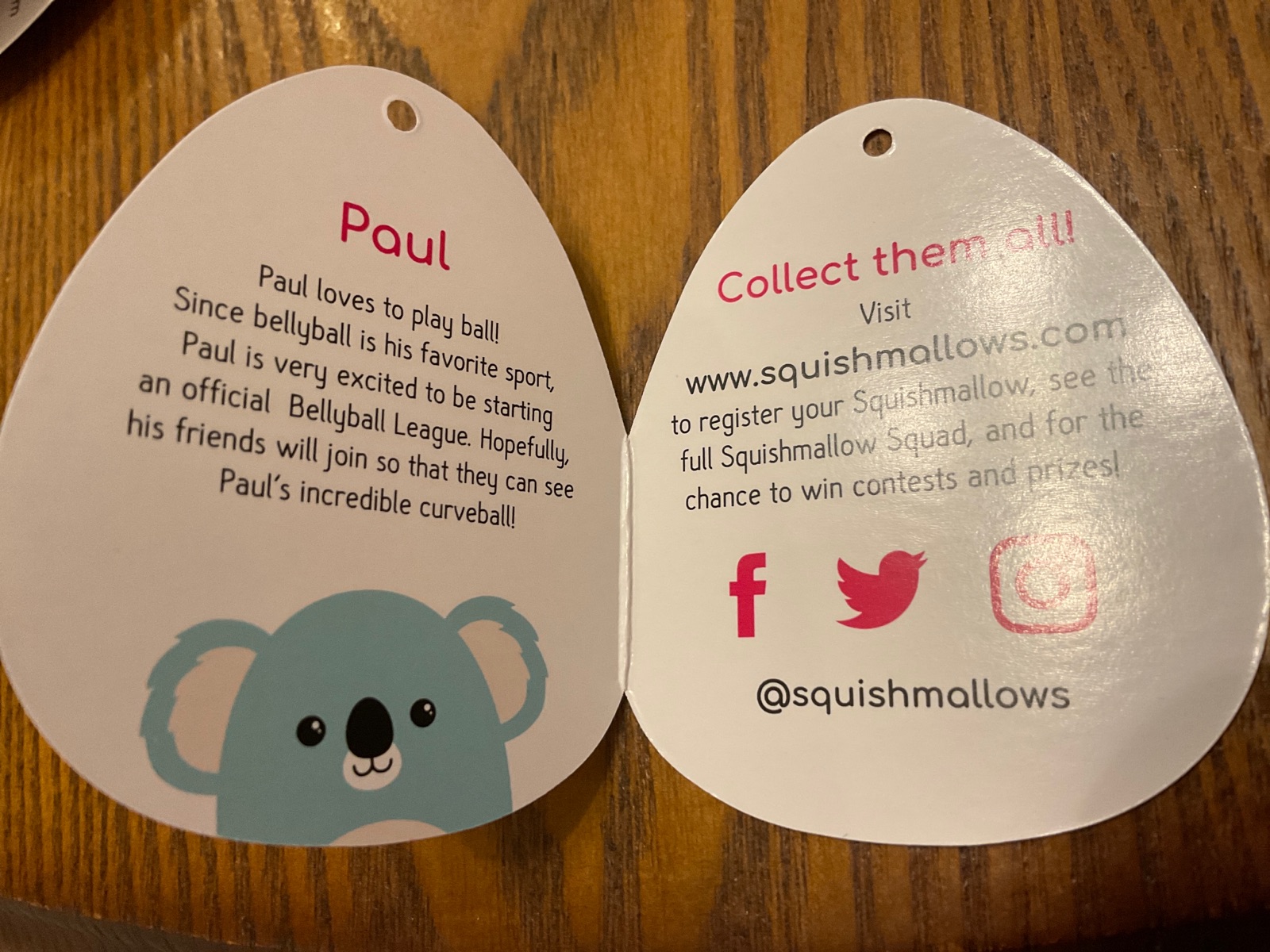 Paul (Valentine) the Koala Squishmallows Valentine | SquadApp