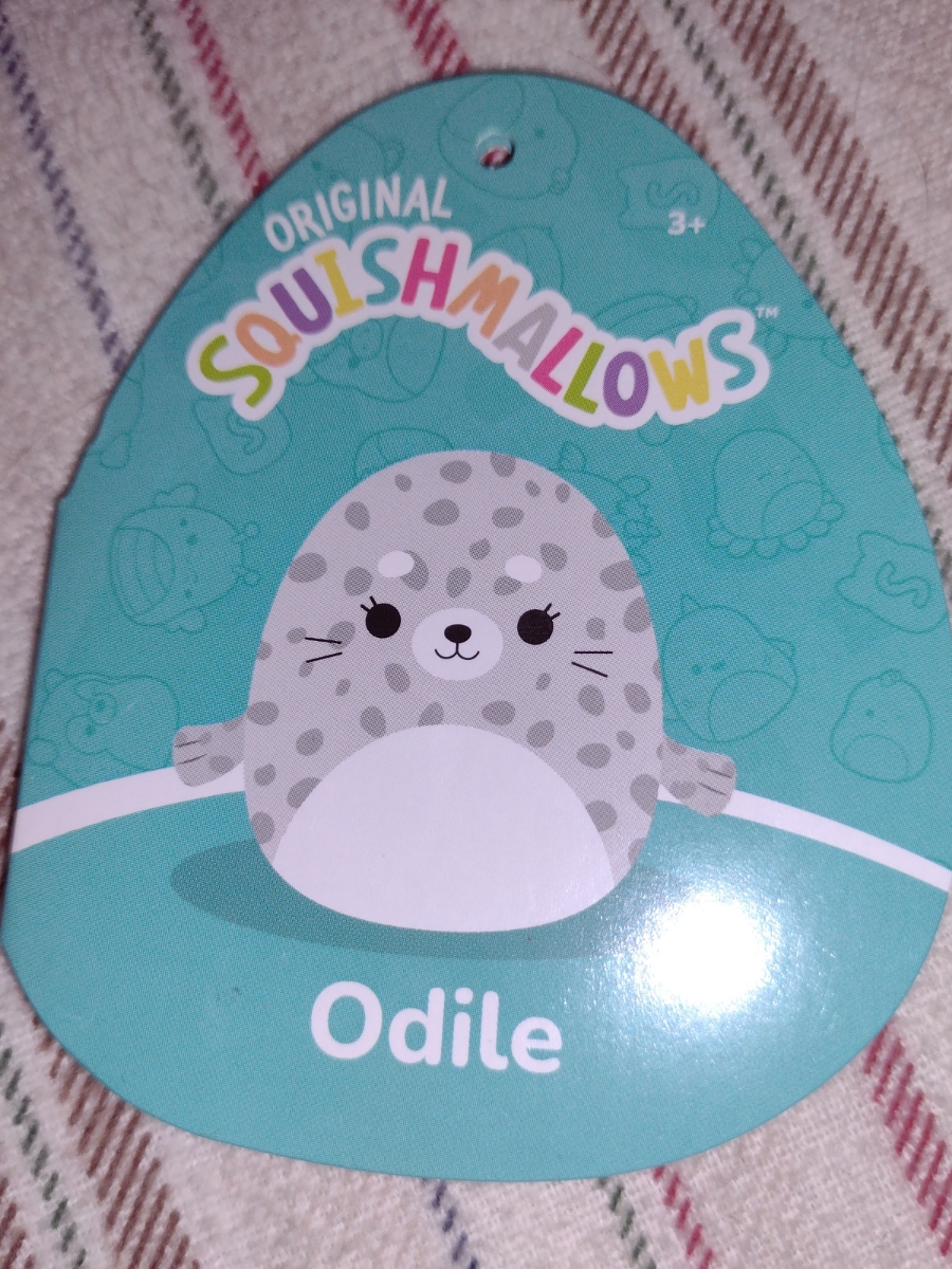 Odile the Seal Squishmallows Sealife | SquadApp