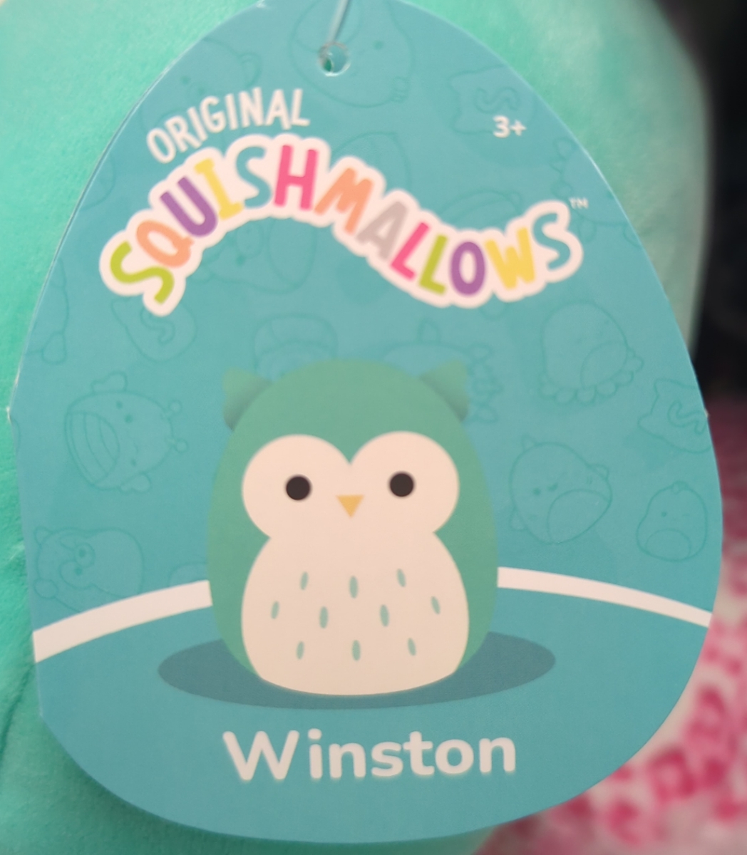 Winston (Yellow Beak) the Owl Squishmallows | SquadApp