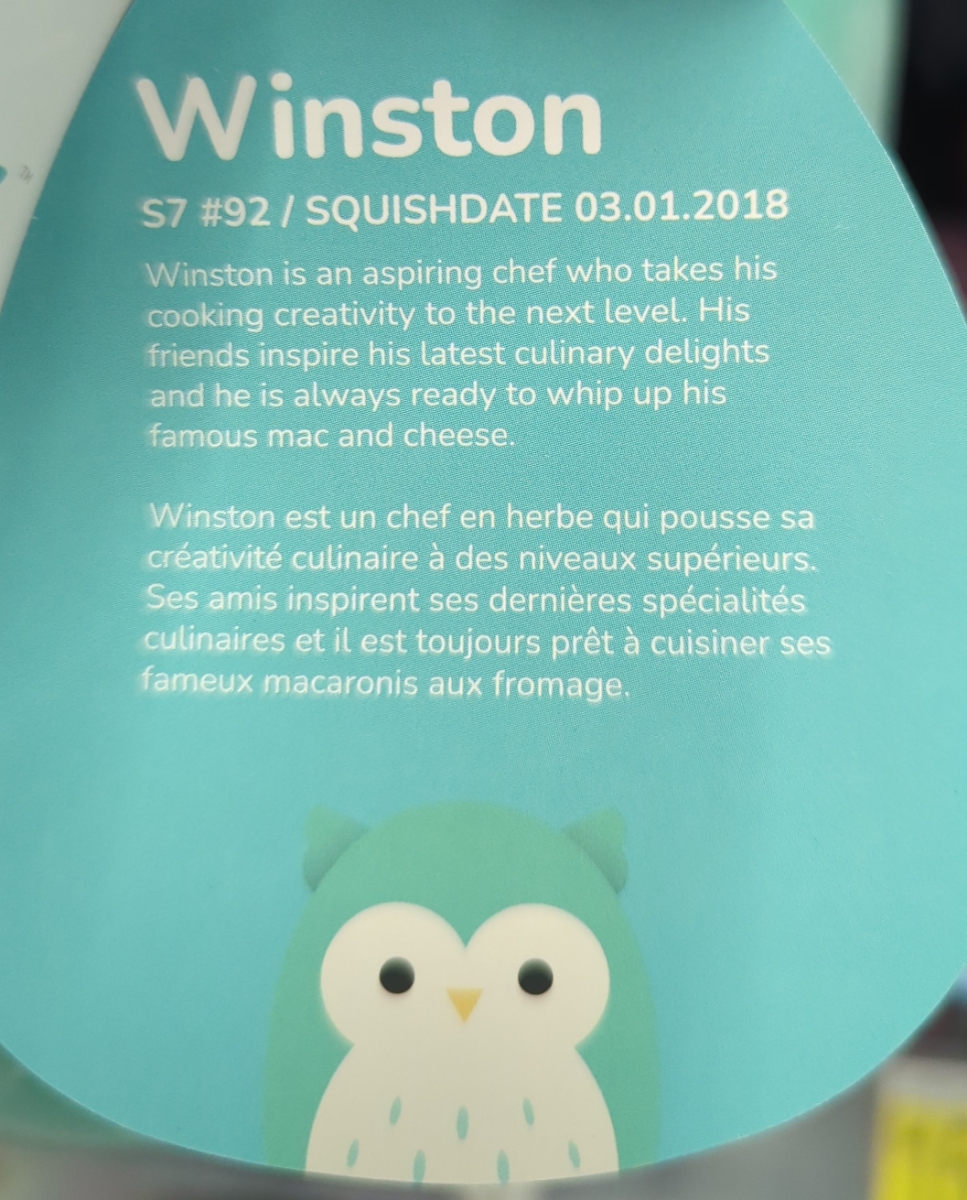 Winston (Yellow Beak) the Owl Squishmallows | SquadApp
