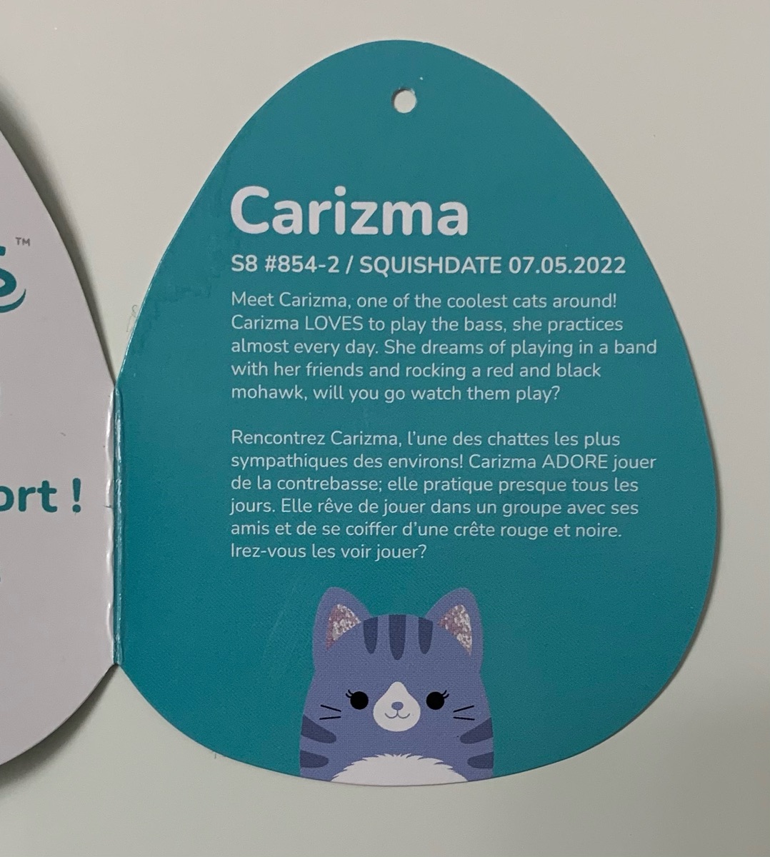 Carizma the Cat Squishmallows | SquadApp