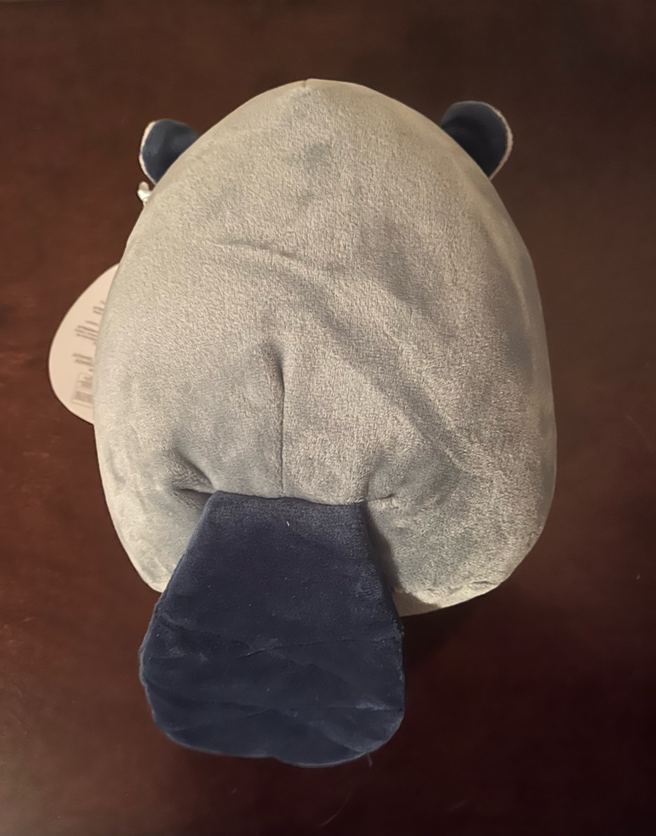 River the Beaver Squishmallows Wildlife | SquadApp