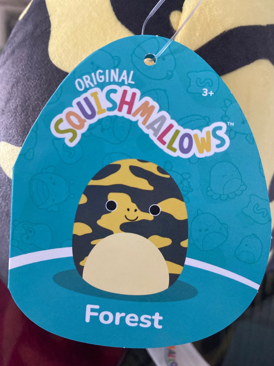 Forest the Salamander Squishmallows Garden | SquadApp