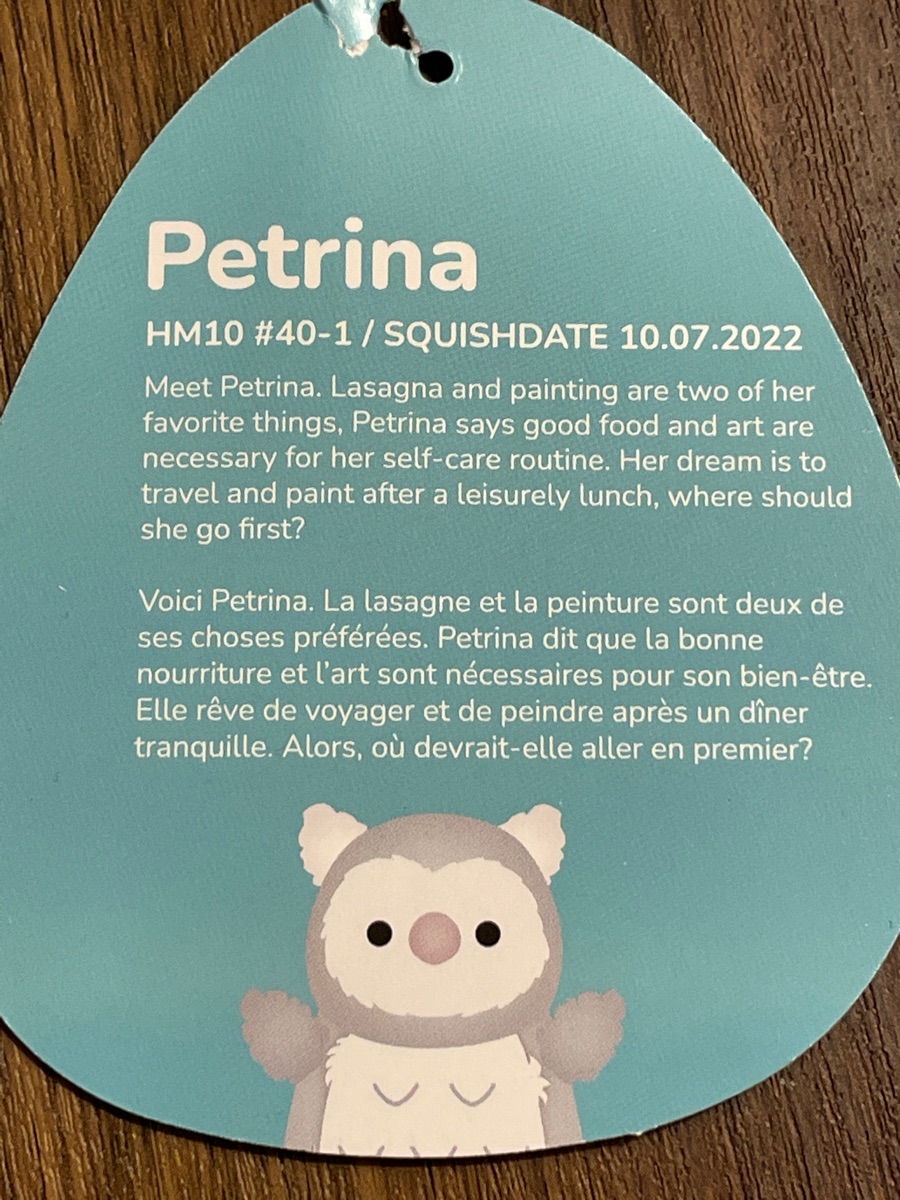Petrina (Hug Mees) the Owl Squishmallows | SquadApp