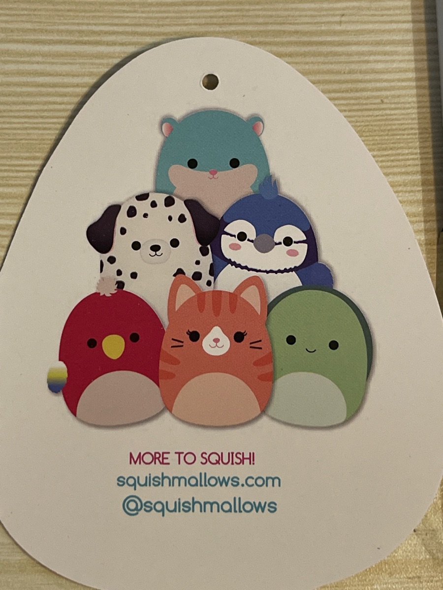 Paco the Parrot Squishmallows Bird,Wildlife,Zoo | SquadApp