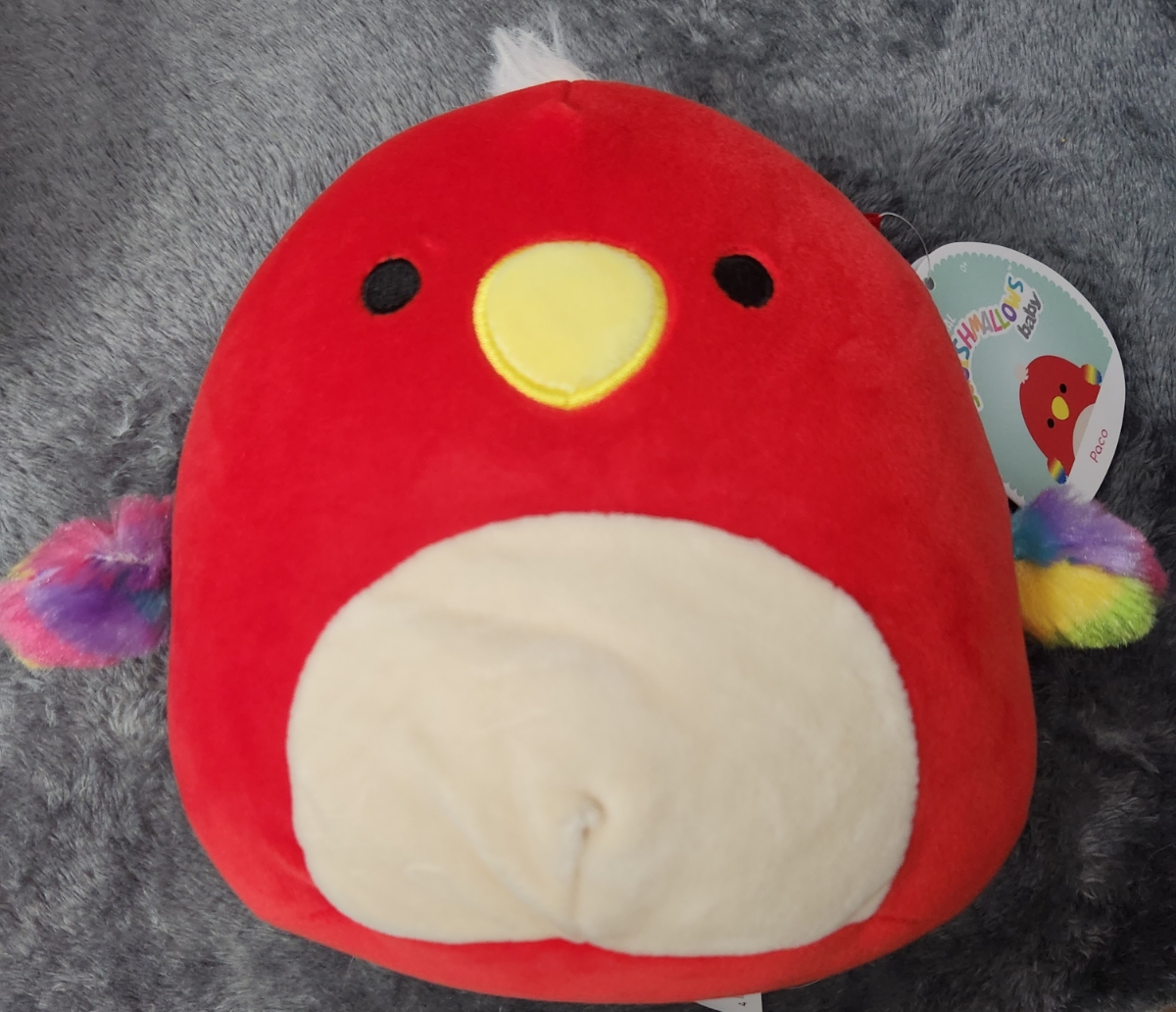 Paco (Baby) the Parrot Squishmallows Baby | SquadApp