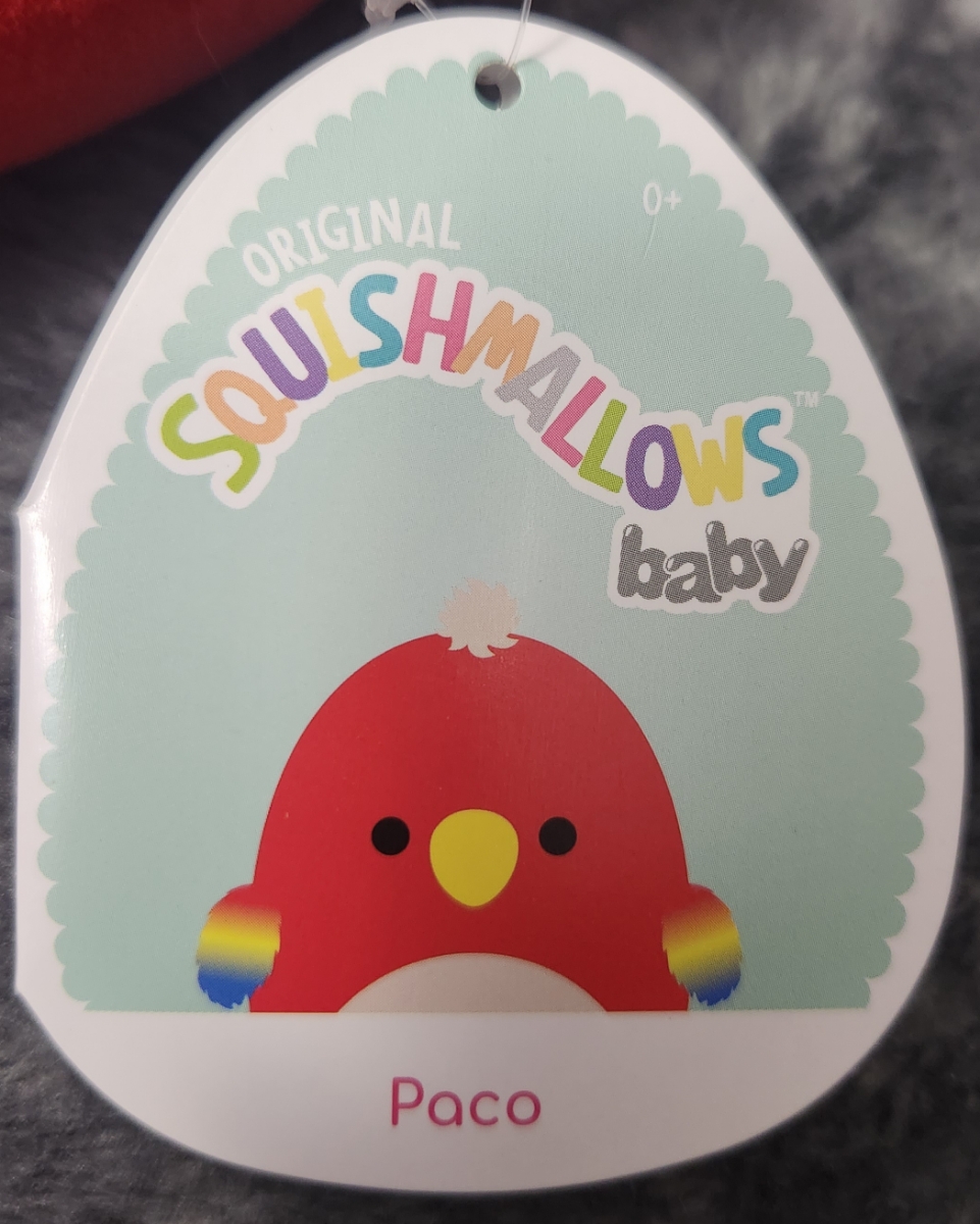 Paco (Baby) the Parrot Squishmallows Baby | SquadApp