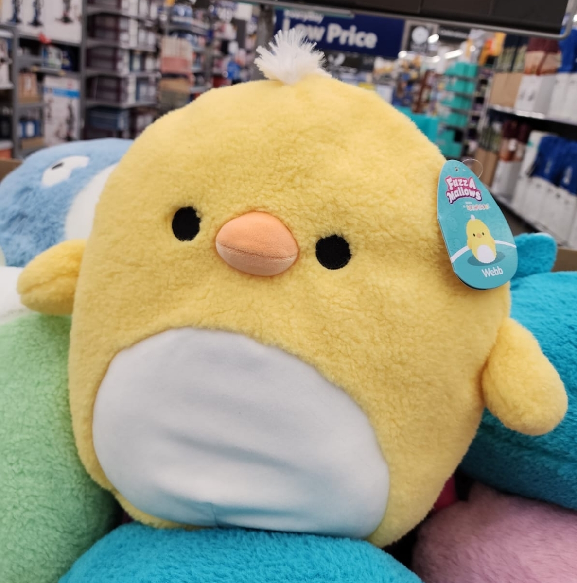 Webb (Fuzz-A-Mallows) the Duck Squishmallows | SquadApp