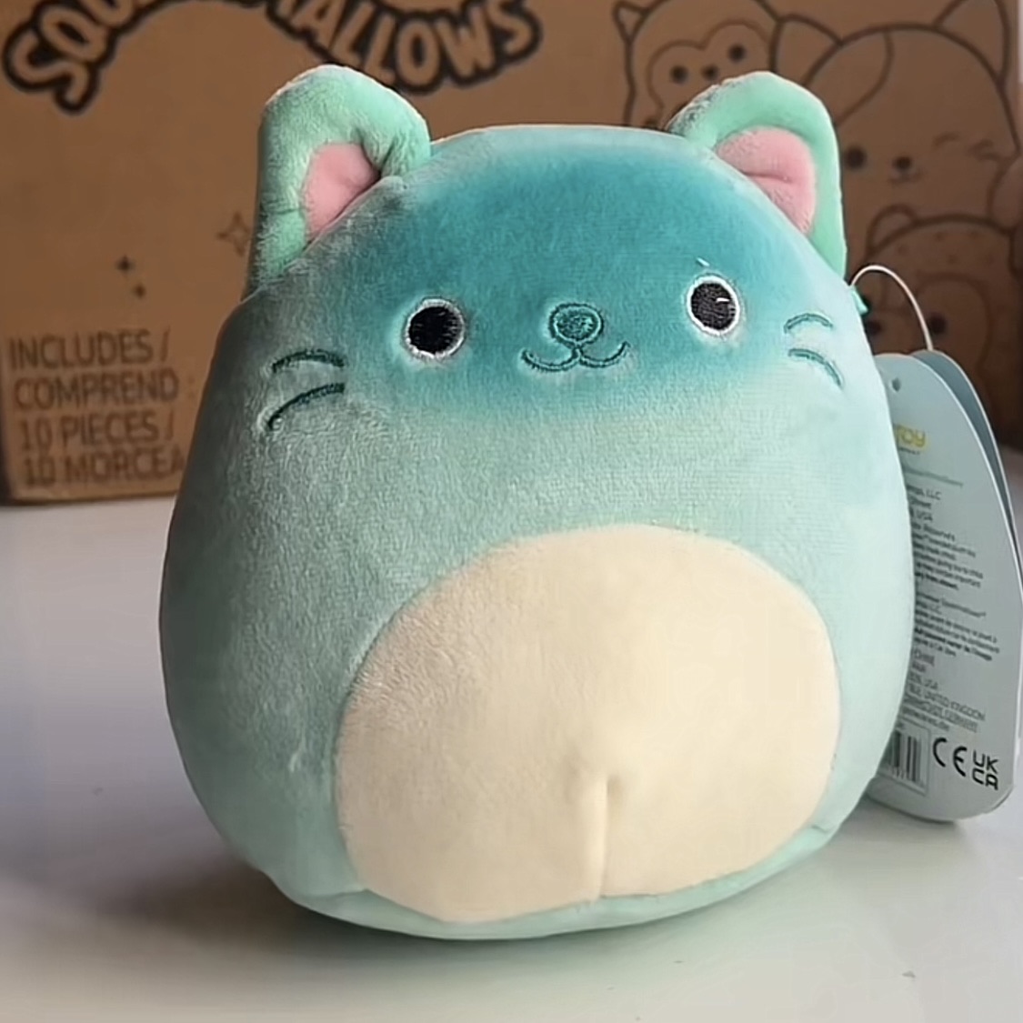 Sigrid the Siamese Cat Squishmallows Pets, 5B 4.30.23 | SquadApp