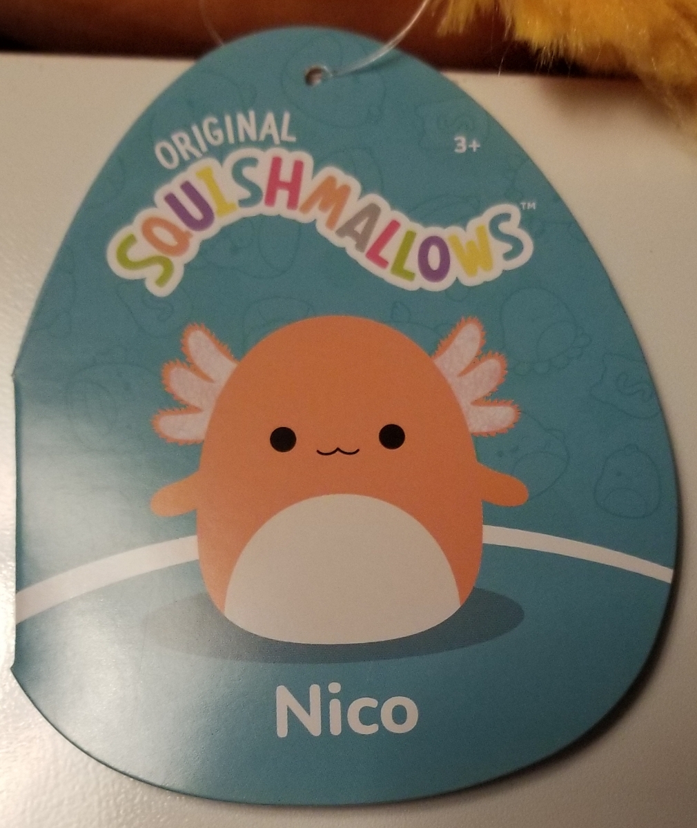 Nico the Axolotl Squishmallows | SquadApp