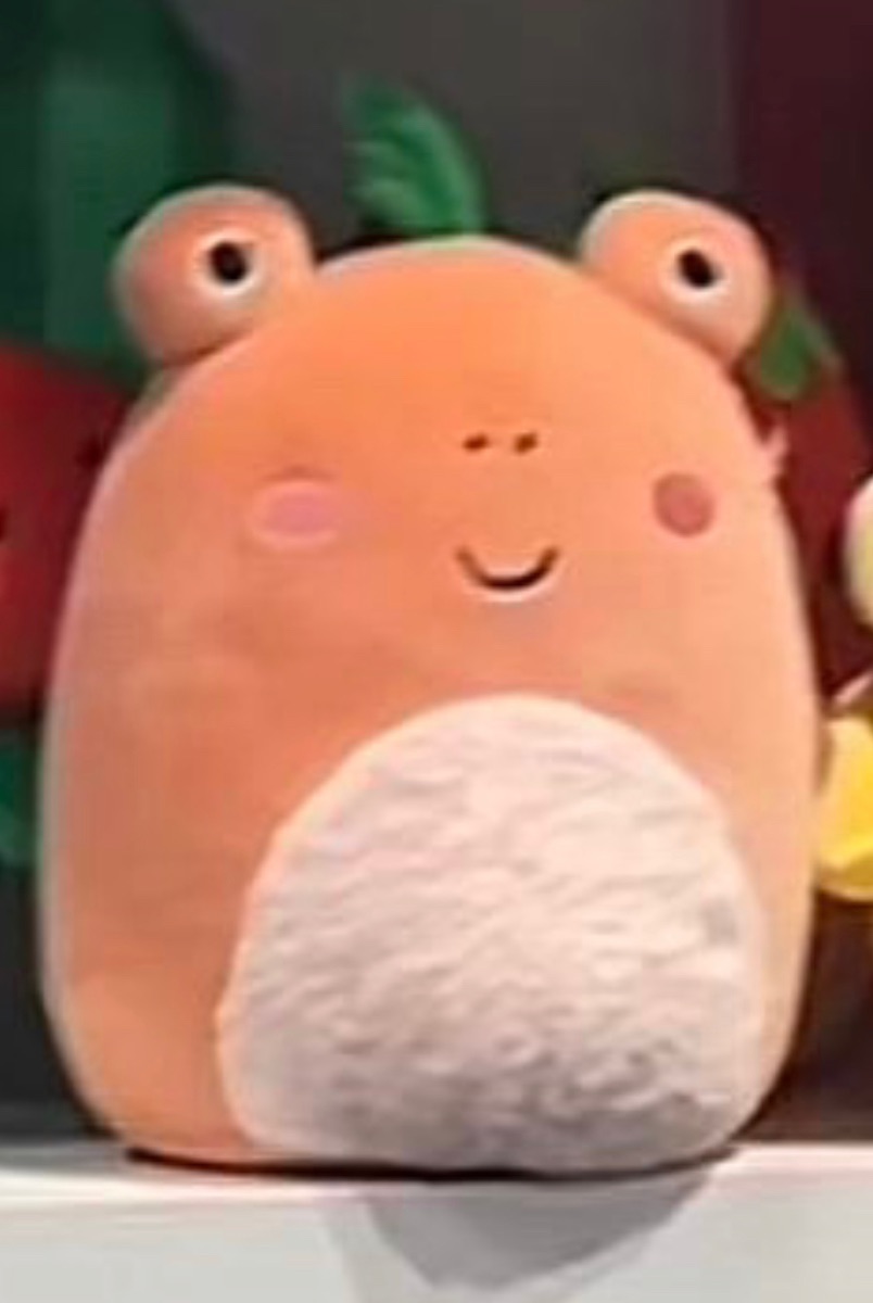 Fatima the Peach Frog Squishmallows Fruit Animals | SquadApp