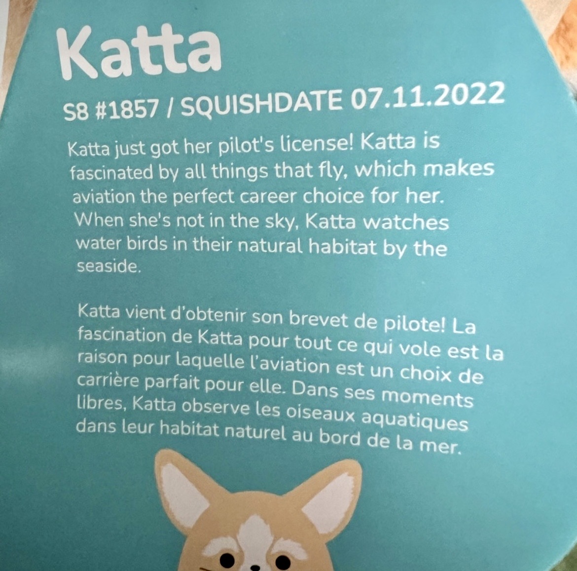 Katta the Fennec Fox Squishmallows Desert | SquadApp