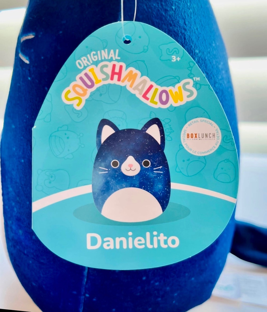 Danielito the Cat Squishmallows | SquadApp