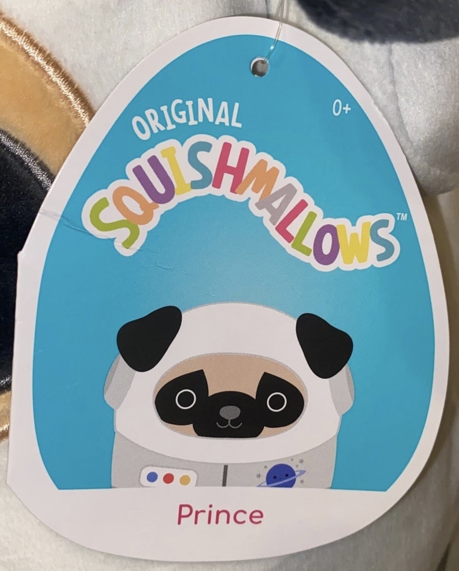 Prince (Astronaut) the Pug (Dog) Squishmallows Space | SquadApp