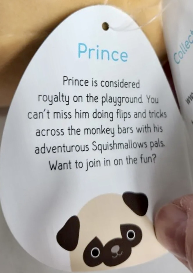 Prince the Pug (Dog) Squishmallows Dogs | SquadApp