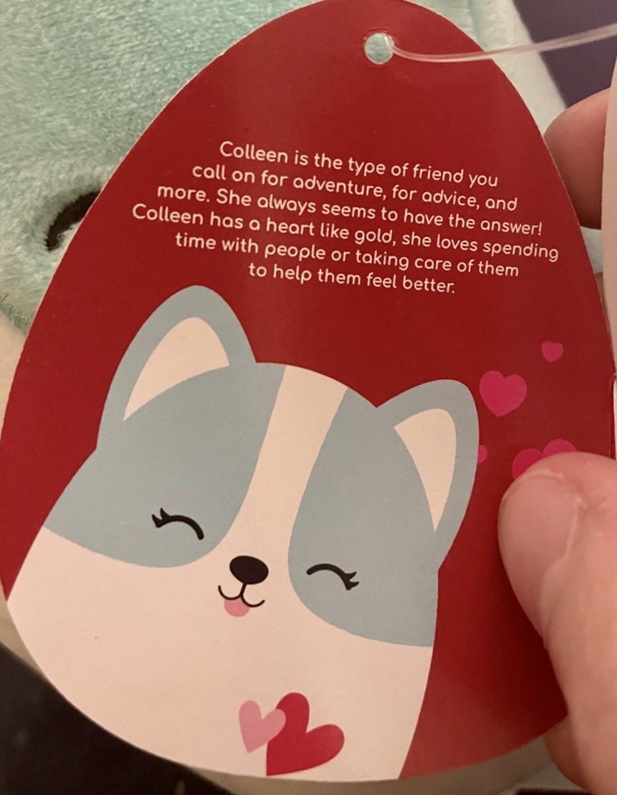 Colleen the Corgi (Dog) Squishmallows Valentine | SquadApp